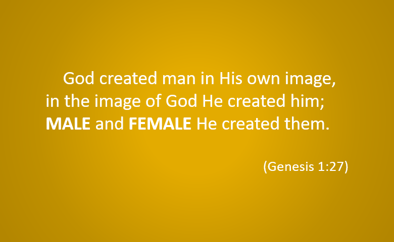 Male and Female He created them – Bible Discoveries